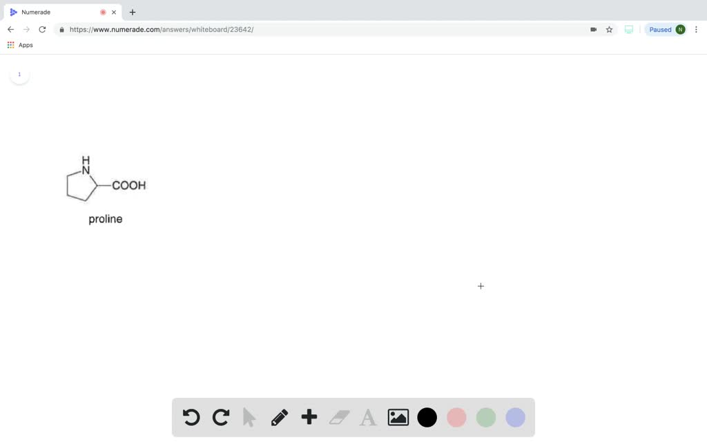 SOLVED:Proline is an unusual amino acid because its N atom on the ...
