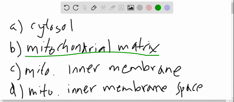 SOLVED:Where does the citric acid cycle occur in eukaryotes? a. in the ...