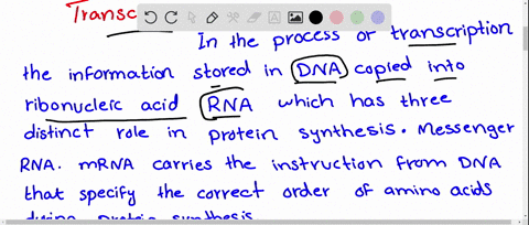 SOLVED:Which nucleic acid or acids are involved in (a) the process ...