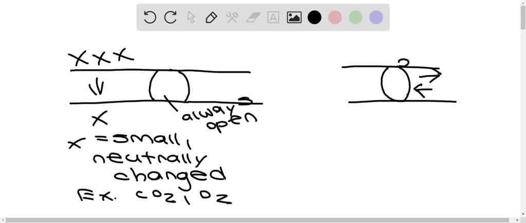 SOLVED:The sodium/calcium exchanger (NCX) transports sodium into and ...