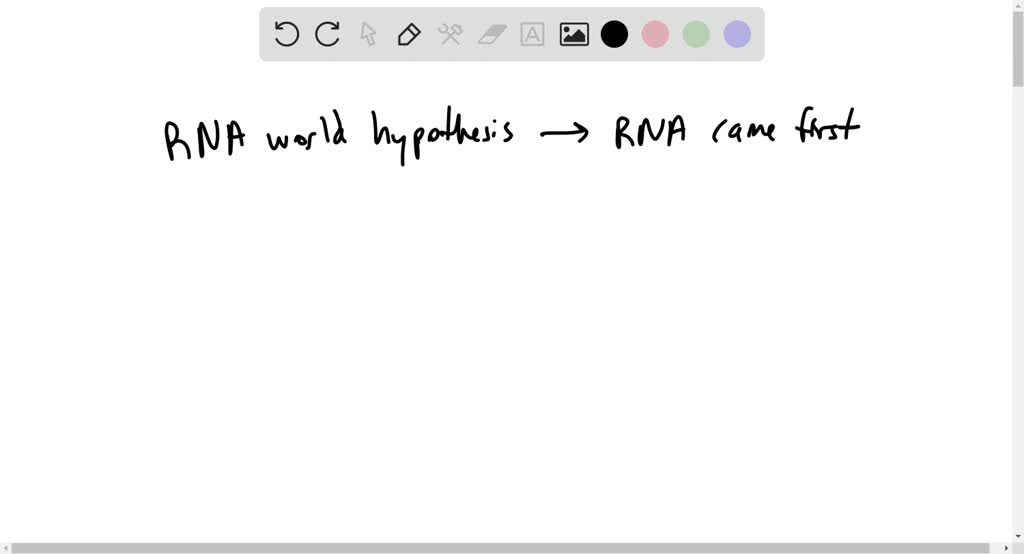 SOLVED:The RNA world hypothesis proposes that the first complex ...