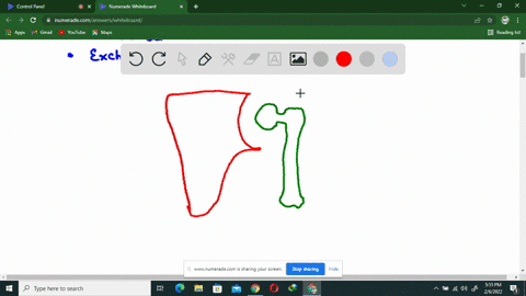 SOLVED:The shoulder joint provides a good example of a trade-off, where a benefit comes with a ...