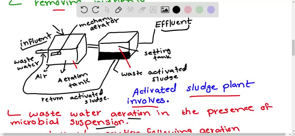 Describe the activated sludge method of sewage treatment. | Numerade
