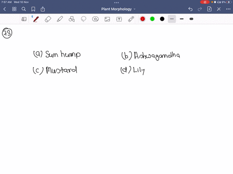 ⏩SOLVED:Epiphyllous stamens are found in (a) Sunn hemp (b)… | Numerade