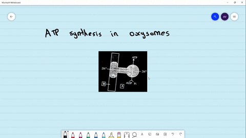 ⏩SOLVED:Identify A and B in the given diagram showing ATP synthesis ...
