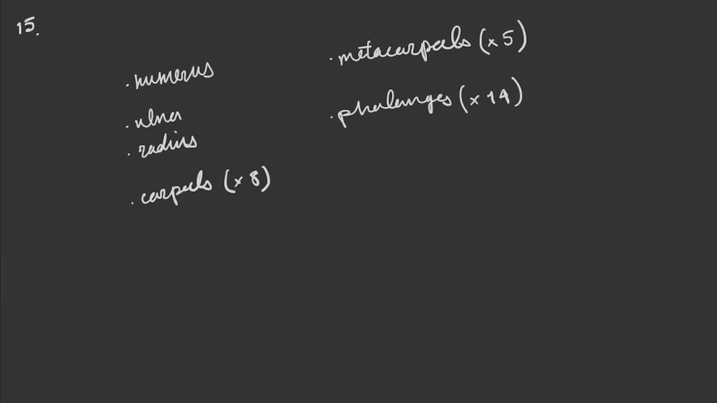 SOLVED How Many Bones Are There In The Upper Limbs Combined A 20 B 