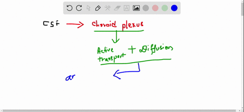 SOLVED:List all of the CNS sites where cerebrospinal fluid (CSF) is ...