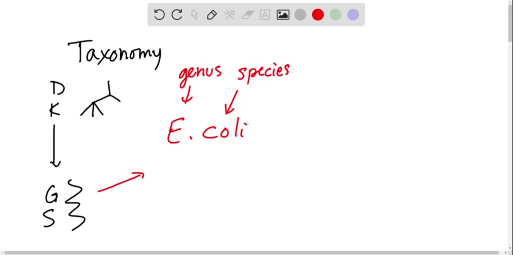SOLVED:A binomial name indicates a. the domain of the organism. b. the ...