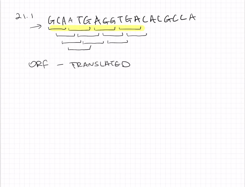 SOLVED:An open reading frame (ORF) is distinguished by the presence of ...