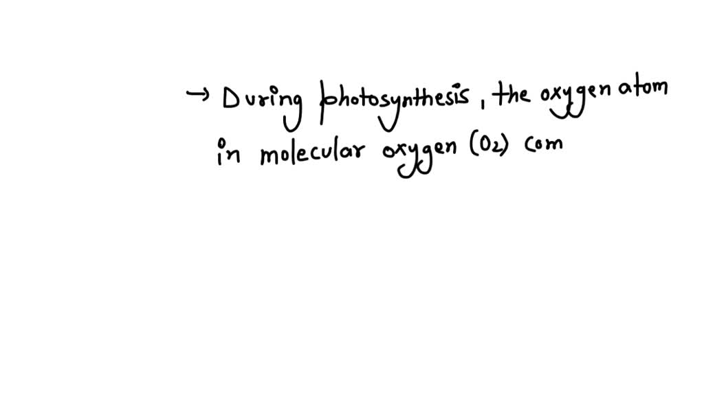SOLVED: La conversión de CO2 en hidratos de carbono por las plantas por ...