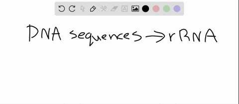 SOLVED:The DNA sequences that code for eukaryotic rRNA a. are ...