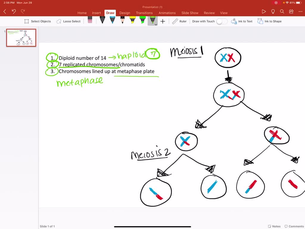 SOLVED:A student is looking at cells under the microscope. The cells ...
