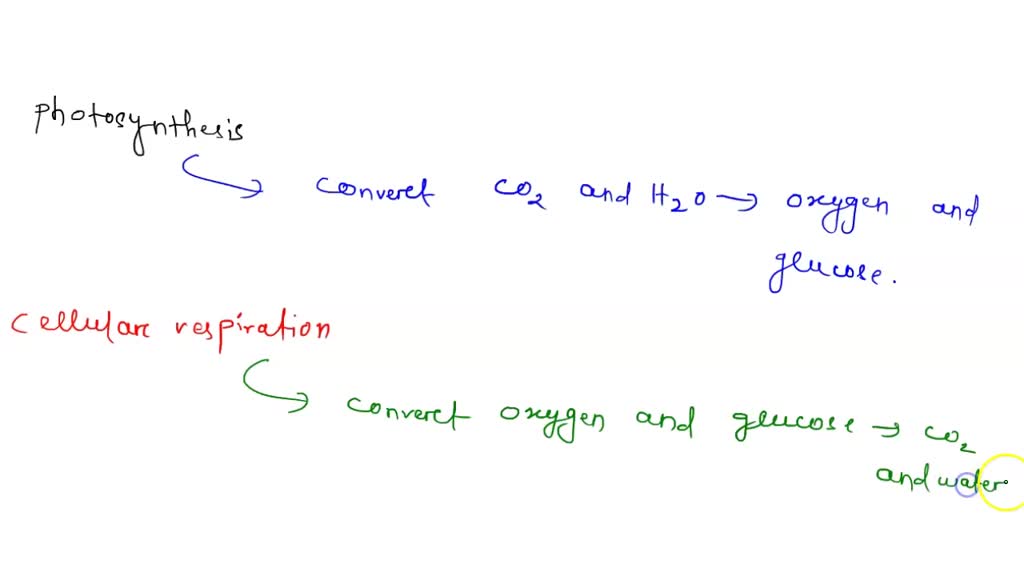 ⏩SOLVED:How are the overall reactions for photosynthesis and… | Numerade