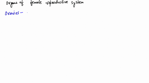 SOLVED:State the functions of the vagina, labia majora and minora, and ...