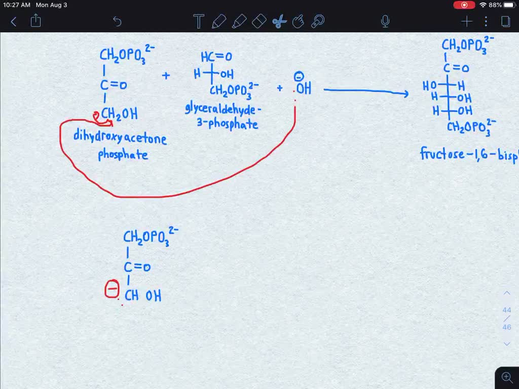 SOLVED:Propose a mechanism for the formation of fructose-1,6 ...