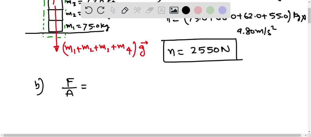 Four acrobats of mass 75.0 kg, 68.0 kg, 62.0 kg, and 55.0 kg form a ...