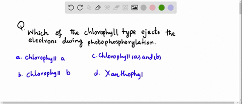 SOLVED:Quantasomes are present in (a) Pigment system I (b) Pigment ...