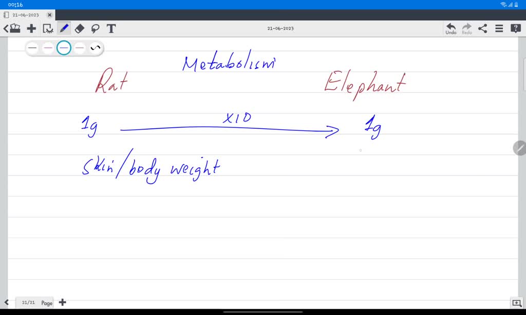 ⏩SOLVED:Which must eat a larger proportion of its weight in food ...