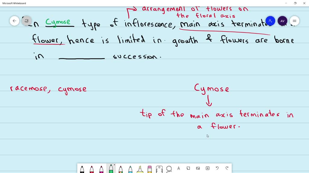 SOLVED:In (i) type of inflorescence, main axis terminates in a flower ...