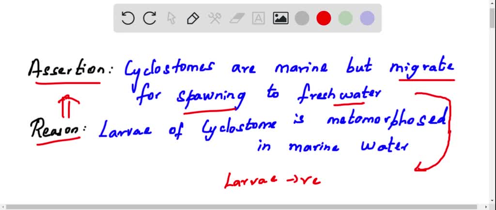 Assertion: Cyclostomes are marine but migrate for spawning to fresh ...