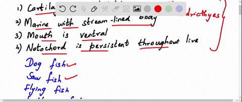 SOLVED:Define: Chordata, notochord, gnathomstome, Sarcopterygii, skull ...