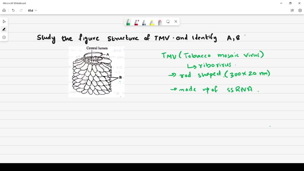 ⏩SOLVED:Study the given figure of structure of TMV (Tobacco Mosaic ...