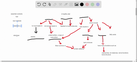 SOLVED:Complete the following map summarizing the nutritional needs of ...