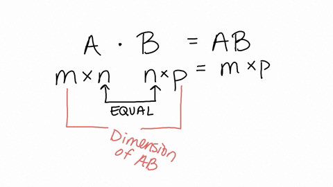 ⏩SOLVED:Explain why the number of columns in matrix A must equal the… | Numerade
