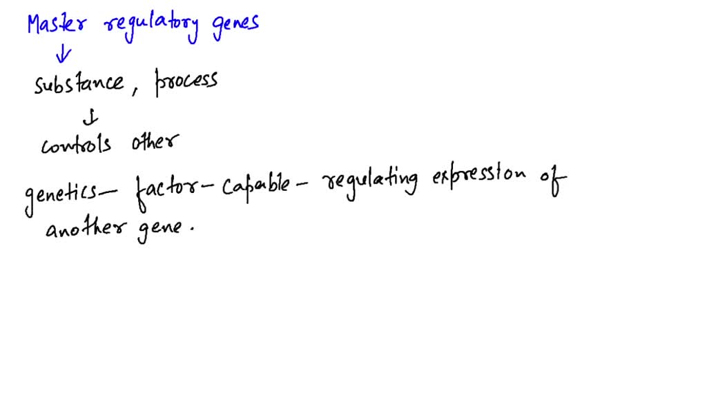 SOLVED: Why do proponents of Emergence attribute so much importance to ...
