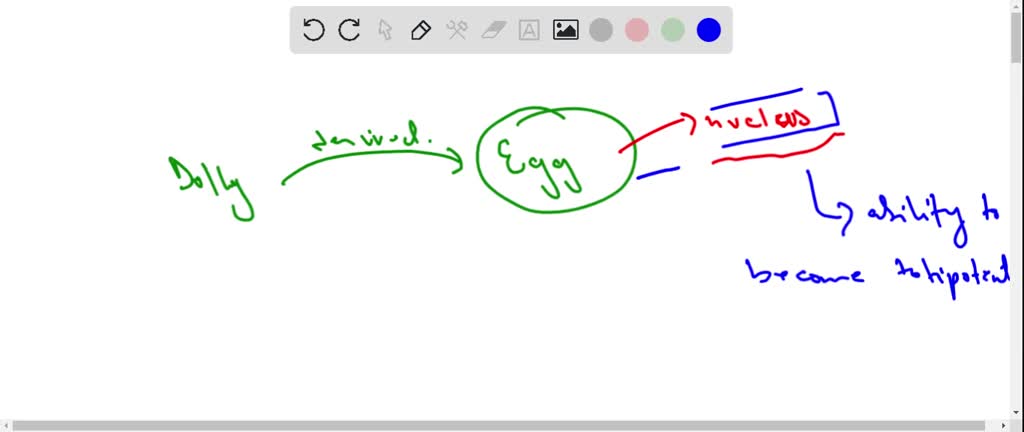 SOLVED:In 1997, Dolly the sheep was cloned by a technique called ...