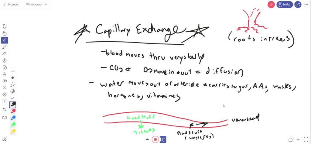 SOLVED:The near equilibrium between filtration and reabsorption in ...