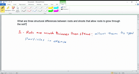 ⏩SOLVED:What are three structural differences between roots and… | Numerade