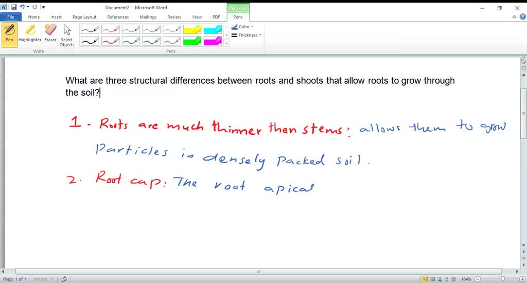 ⏩SOLVED:What are three structural differences between roots and… | Numerade ⏩SOLVED:What are three structural differences between roots and… | Numerade