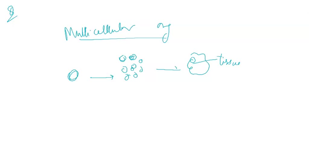 ⏩SOLVED:Define unicellular, colonial, and multicellular: | Numerade