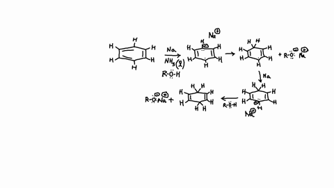 SOLVED: La regioselectividad de la reducción de Birch de los bencenos ...