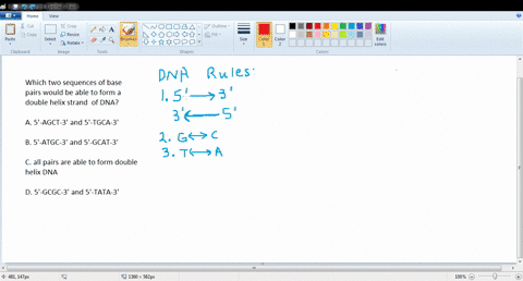 SOLVED:Which of the following pairs of base sequences could form a ...