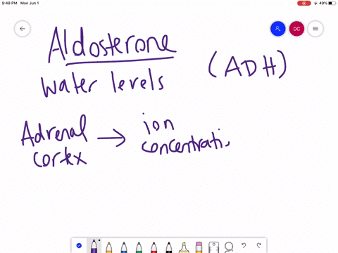 Explain how aldosterone affects salt and water balance. What type of ...