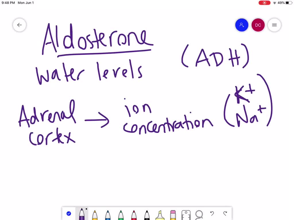 SOLVED:What is ADH? Where does it exert its action? What is aldosterone ...
