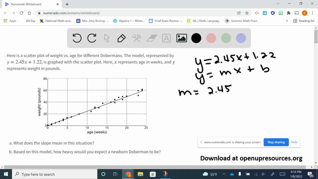 SOLVED:Here is a scatter plot of weight vs. age for different Dobermans. The model, represented ...