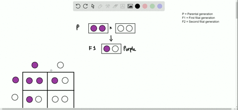 Solutions for Introduction to Genetic Analysis 11th by Anthony J. F ...