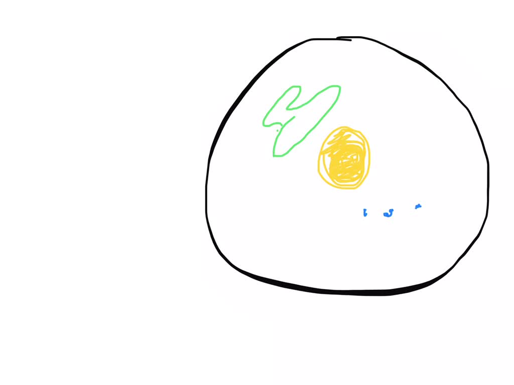 SOLVED:Create a poem that decribes the functions of at least five cell ...