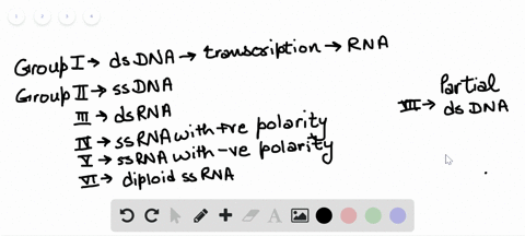 SOLVED: means that the genomic RNA can function as mRNA. a. double ...