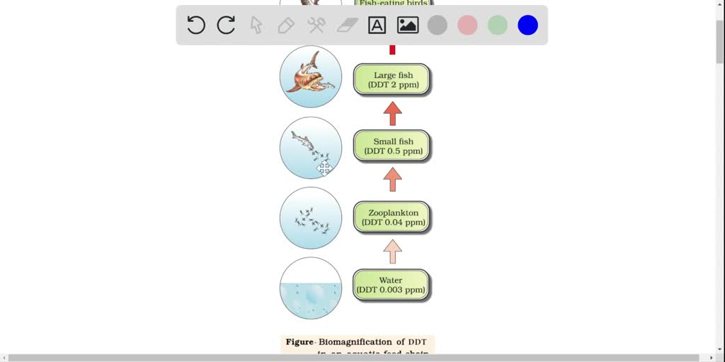 SOLVED:Which term describes the process whereby toxic substances ...