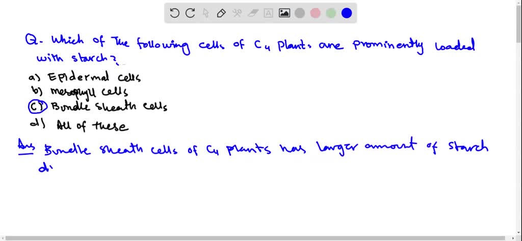 The diagram shows a palisade cell. In which region is starch stored? A ...
