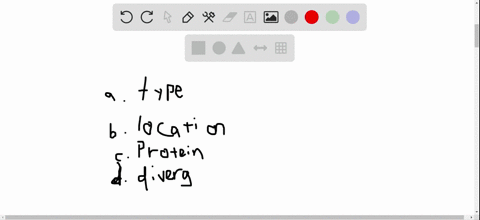 SOLVED:Which does not affect the rate of mutation in a molecular clock ...