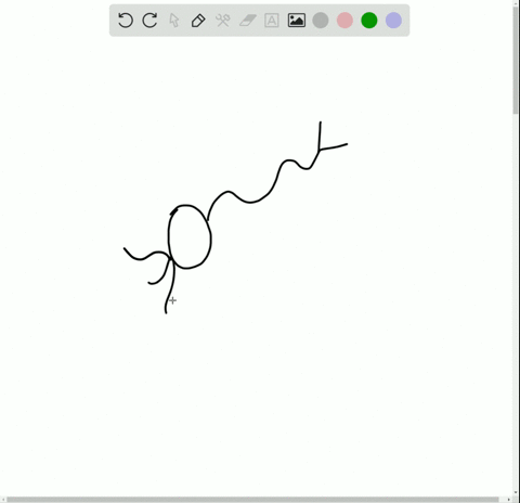 SOLVED:In neurons, dendrites a. send signals to other neurons. b ...