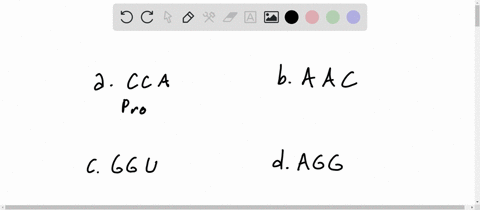 ⏩SOLVED:What amino acid is coded for by each of the following mRNA ...
