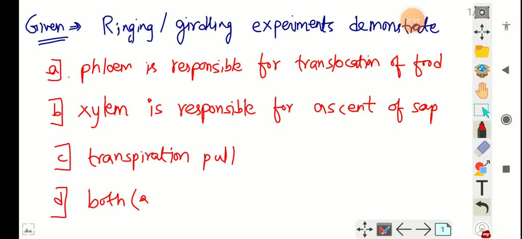 ⏩SOLVED:Ringing/girdling experiments demonstrate (a) phloem is… | Numerade