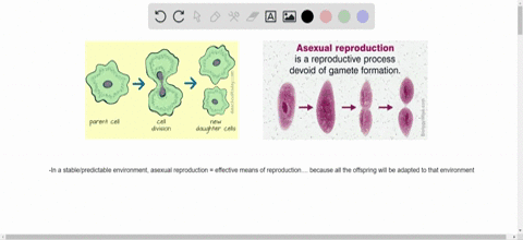 SOLVED:Which form of reproduction is thought to be best in a stable ...
