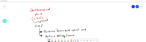 SOLVED:Cushioning and nourishing the brain and spinal cord and filling ...